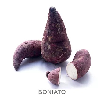 WP Produce Corp - The #1 Importer of Tropical Avocados from the ...